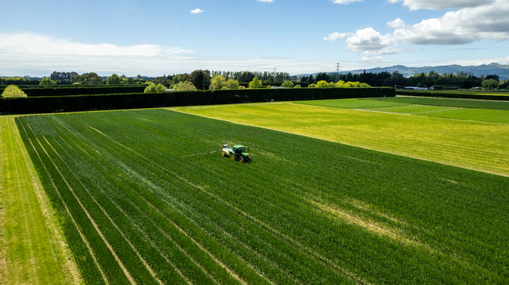 Premium Fresh Produce Supplier in New Zealand | Summit Produce